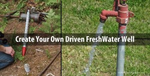 Create Your Own Driven FreshWater Well - The Homesteading Hub